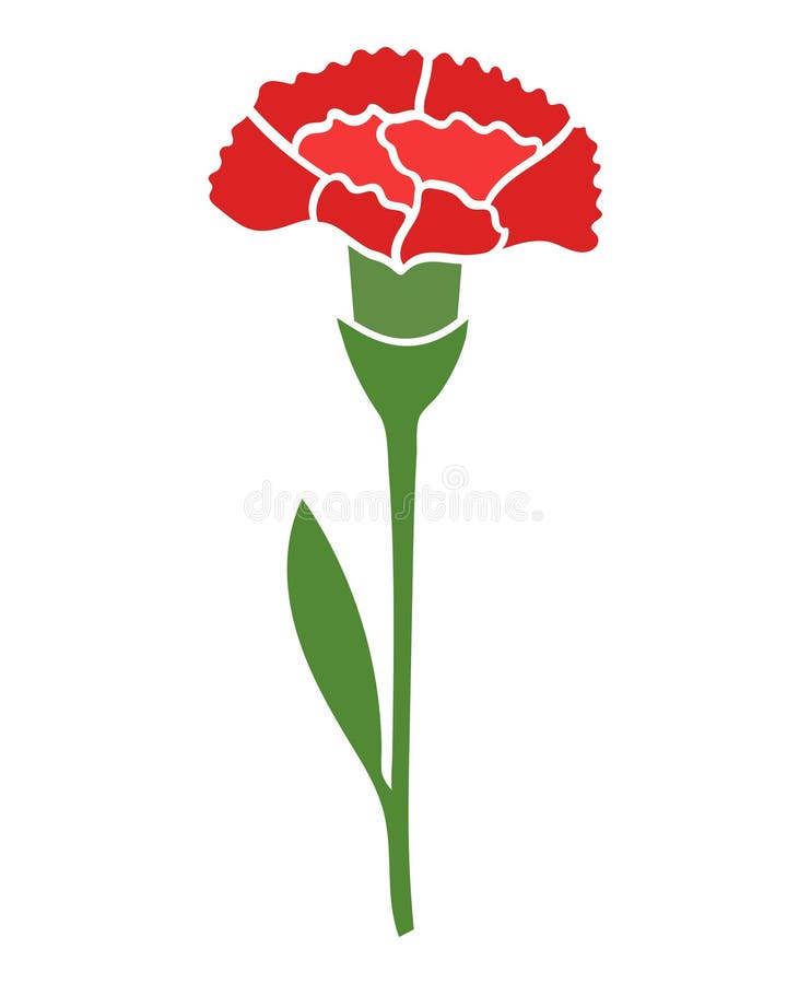 Red Carnation Illustration Isolated in White Background Stock ...