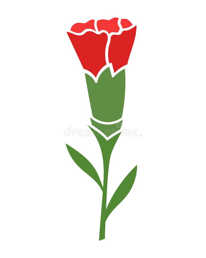 Red Carnation Illustration Isolated in White Background Stock ...