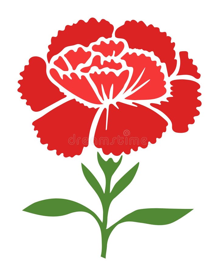 Red Carnation Illustration Isolated in White Background Stock ...