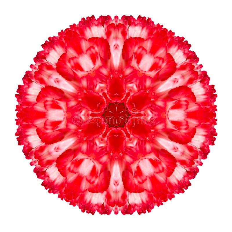 Red Kaleidoscopic Dahlia Flower Mandala Isolated on White Stock Photo ...