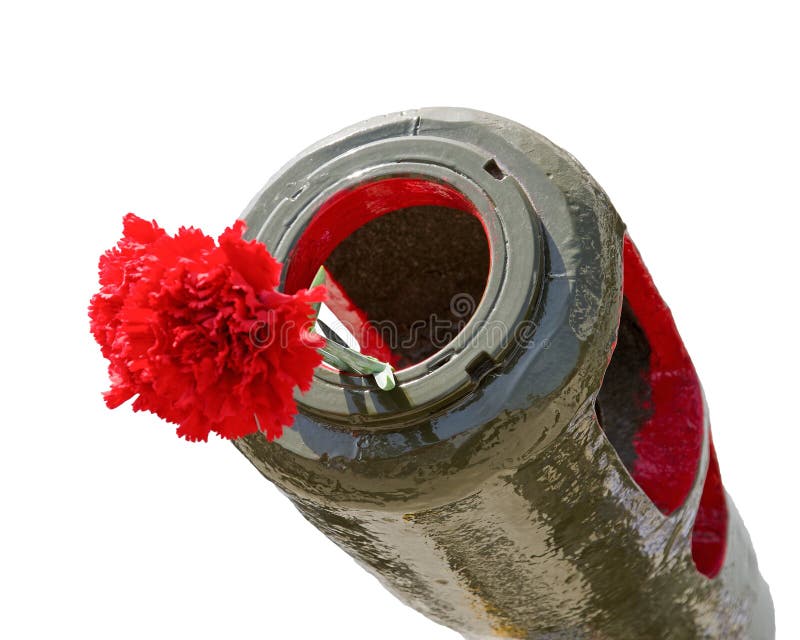 Red Carnation in the Muzzle of the Gun Barrel Stock Photo - Image of ...