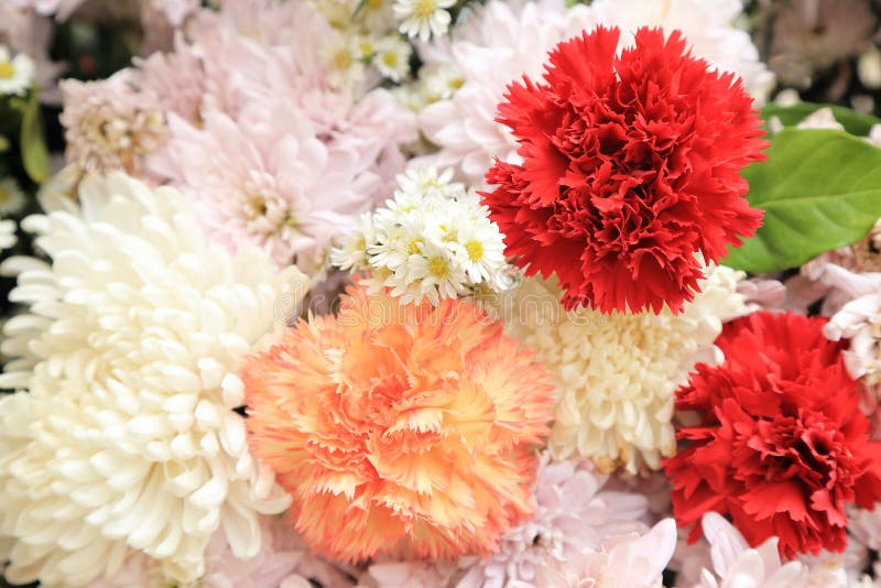 Red Carnation in Pink and White Flowers Bouquet Stock Image - Image of ...
