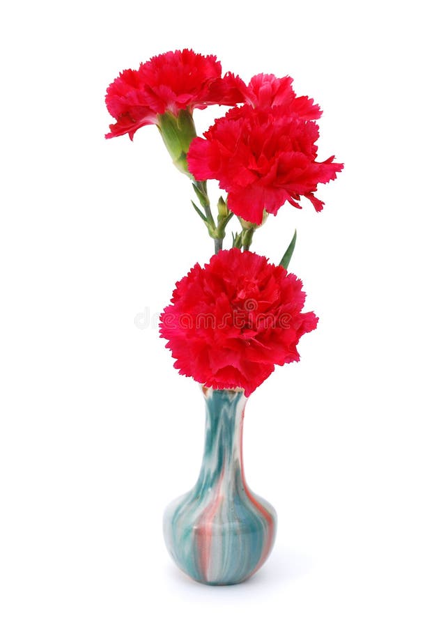 A red carnation vase stock photo. Image of leaf, isolated - 12221726
