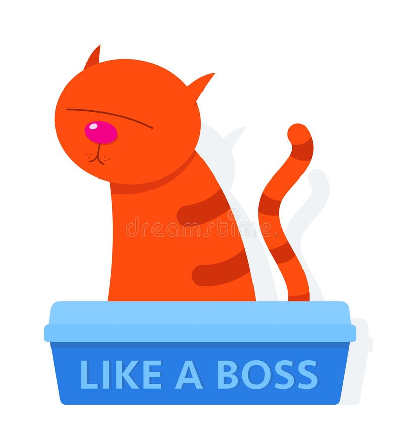 Like A Boss Cat Meme
