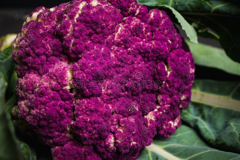 Red Cauliflower on the Black Wooden Background. Selective Focus Stock ...