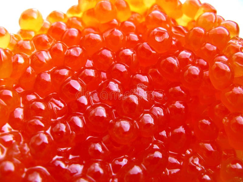Red caviar stock image. Image of holiday, celebrate, bread - 11258017