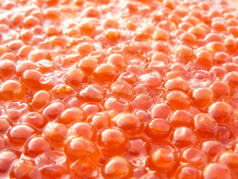 Red caviar stock photo. Image of food, cooking, seafood - 1812322
