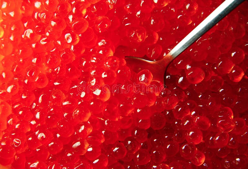 Red caviar-2 stock image. Image of tasty, house, delicacy - 7091459