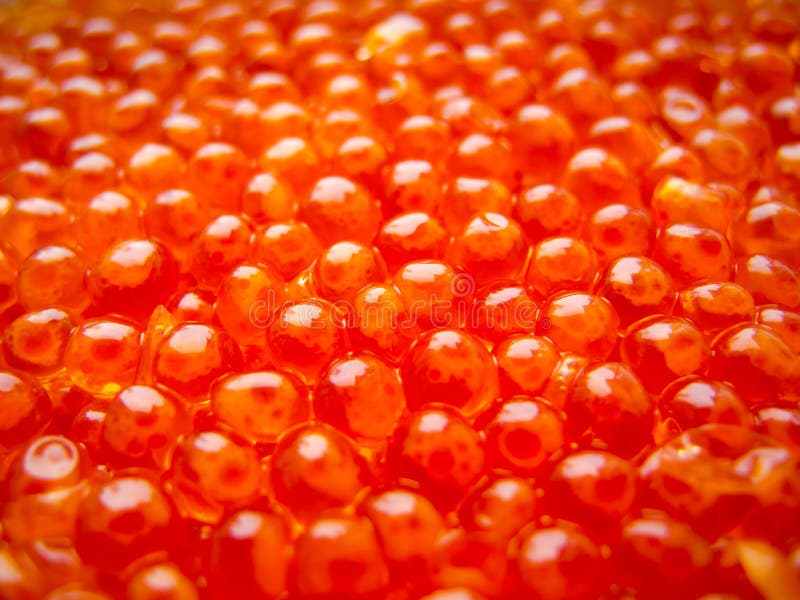 Red caviar stock image. Image of gourmet, seafood, appetizer - 27381089