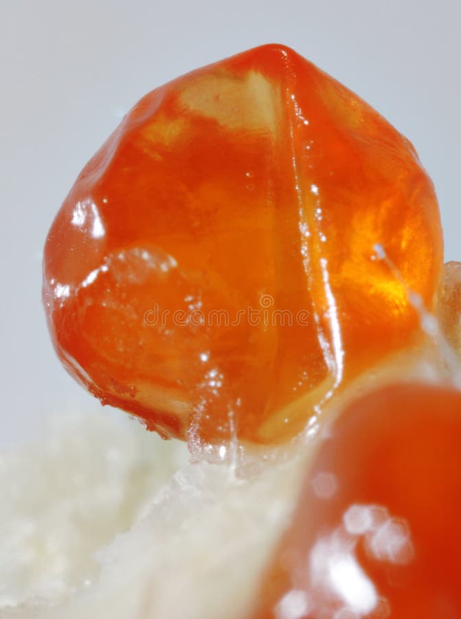 Red caviar. stock photo. Image of close, white, salmon - 7454958