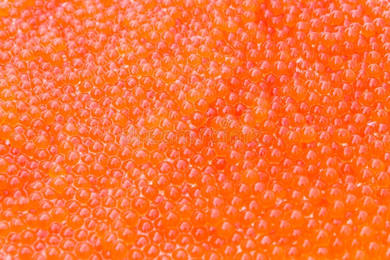 Red caviar texture stock image. Image of delicacy, closeup - 14144789