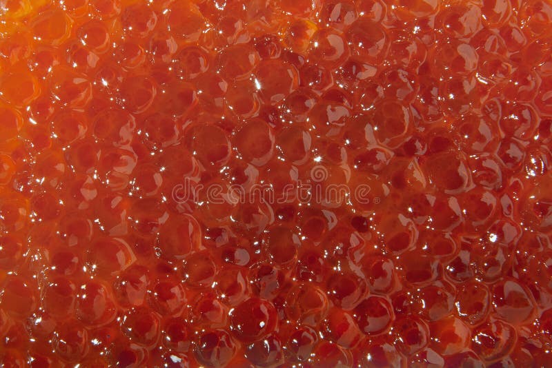 Red Caviar Fish Squad Salmon Closeup Stock Image - Image of appetizer ...