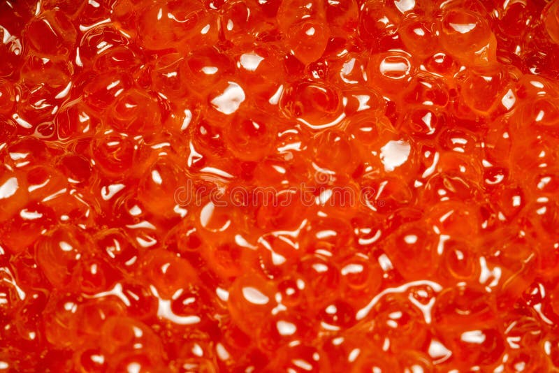 Red Caviar Macro stock photo. Image of salmon, salted - 103169760