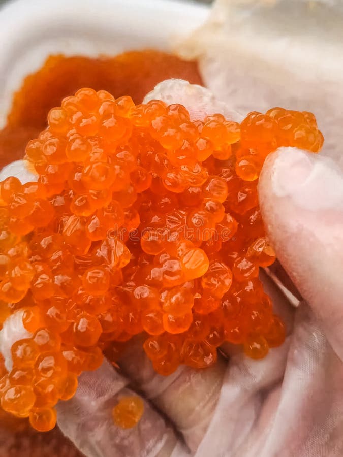 Red Caviar in Plastic Container. Salmon Caviar, Diet Food Stock Photo ... Red Caviar in Plastic Container. Salmon Caviar, Diet Food Stock Photo ...