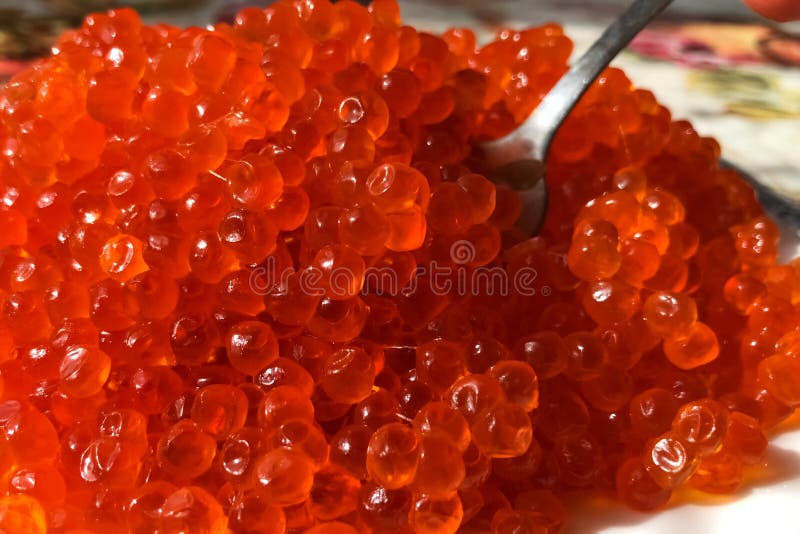 Red Caviar on Plate on the Table. Salmon Caviar. Dietary Nutriti Stock ...