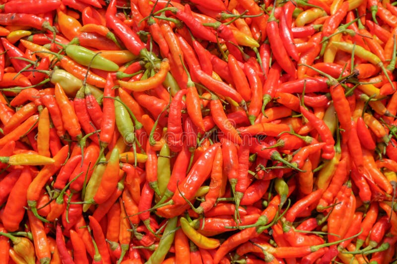 Red Cayenne Pepper for Background Stock Image - Image of object ...