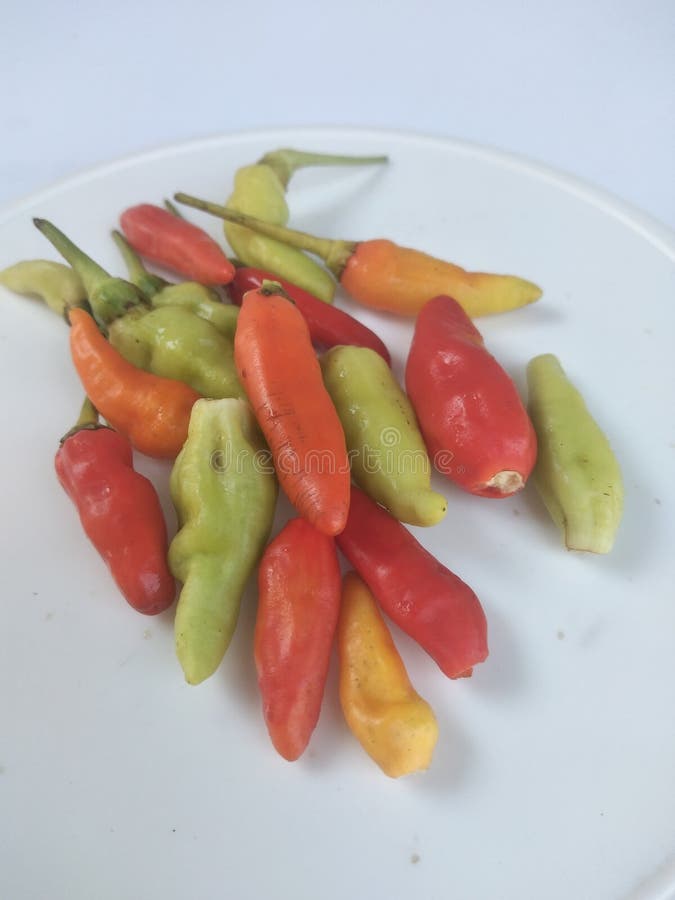Red cayenne pepper stock photo. Image of cooking, color - 317169592