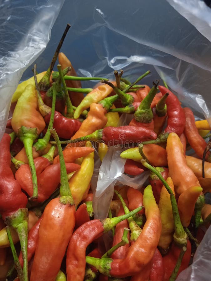 Red Cayenne Pepper in a Plastic Container Stock Photo - Image of ...