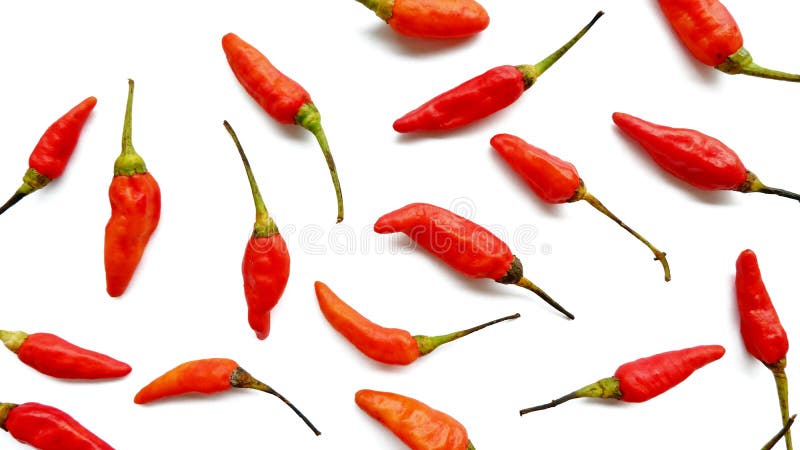 Red chilli papper,cayenne stock image. Image of healthy - 235945095
