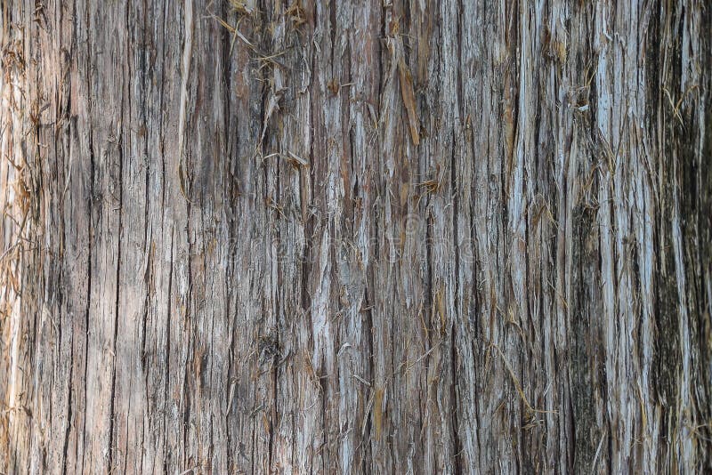 Red Cedar Tree Trunk Background. Stock Image - Image of details, cedar ...
