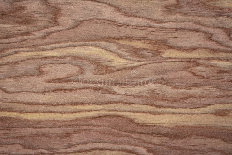 New Cedar Wood Fence Background Stock Image - Image of knotted, plank ...