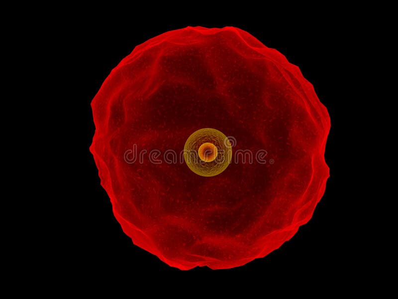Red cell - 3D illustration stock illustration. Illustration of anatomy ...