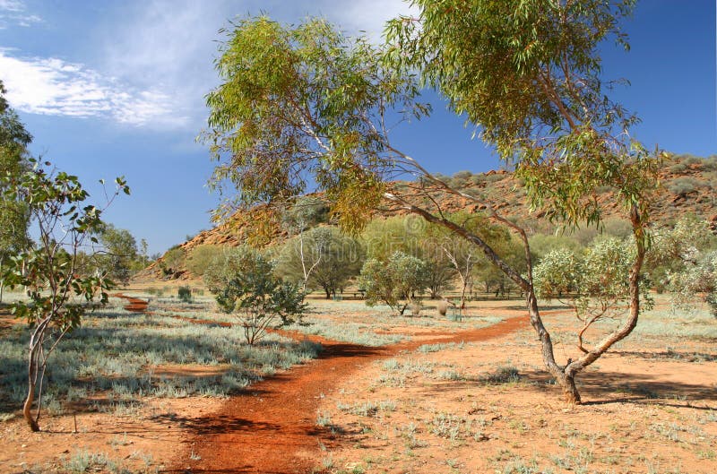 Red Center stock photo. Image of botanical, alice, sand - 1518282