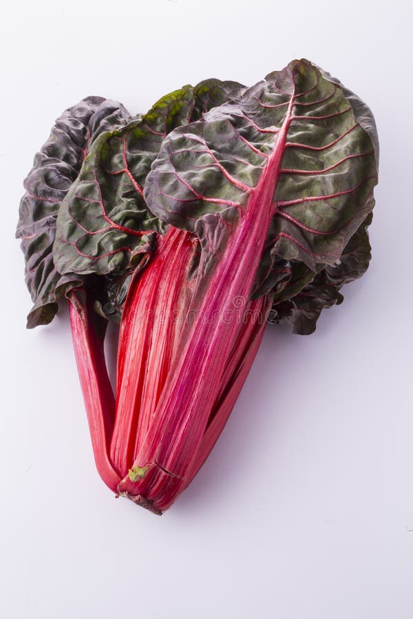 Raw Organic Red Ruby Swiss Chard Stock Image - Image of leafy ...