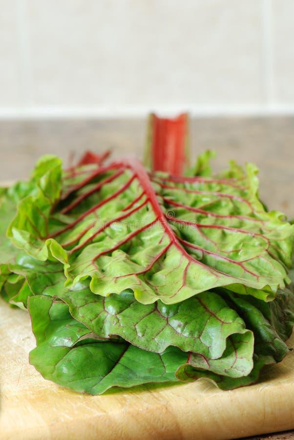 Red chard leaves stock photo. Image of healthy, produce - 14018186