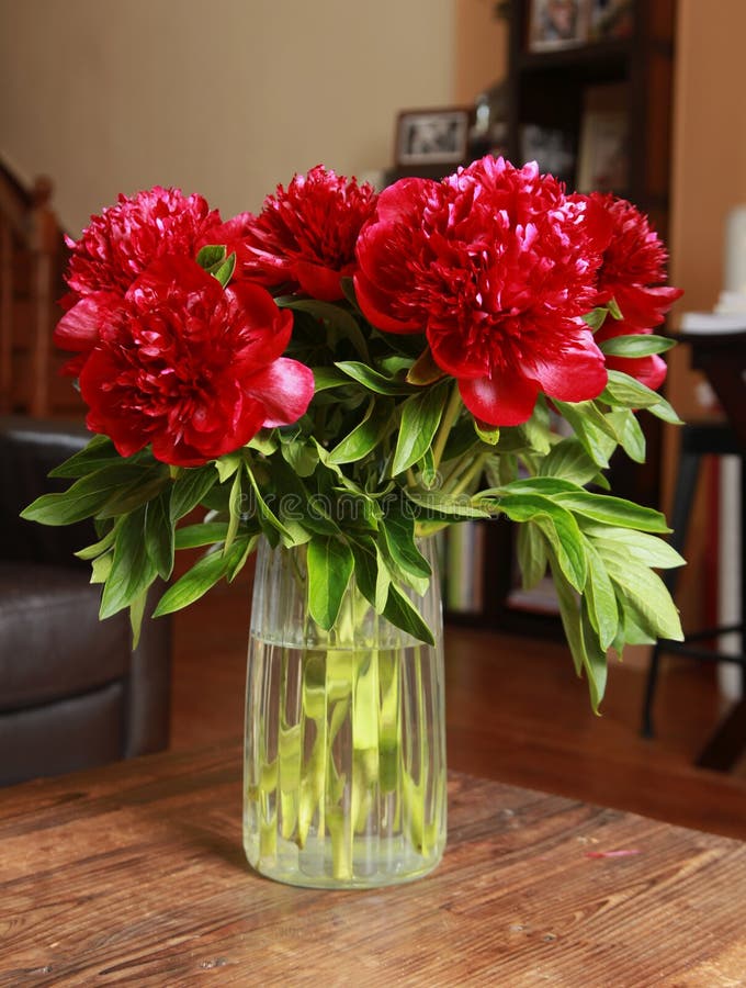 Red Charm Peony Bouquet in a Vase Stock Photo - Image of room, spring ...