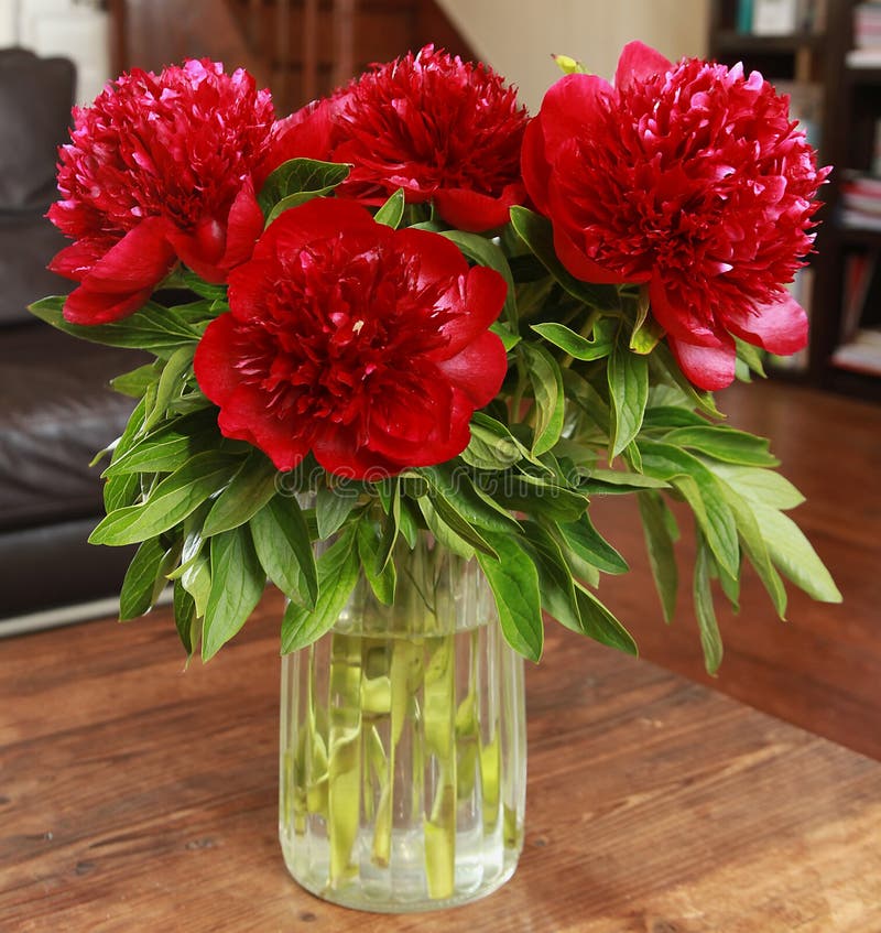 Red Charm Peony Bouquet in a Vase Stock Photo - Image of sofa, peony ...