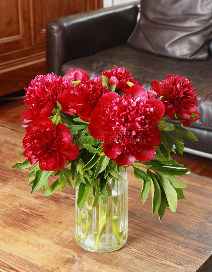 Red Charm Peony Bouquet in a Vase Stock Image - Image of living, beauty ...