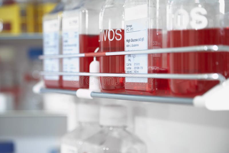 Red Chemicals in Laboratory Stock Photo - Image of display, healthcare ...