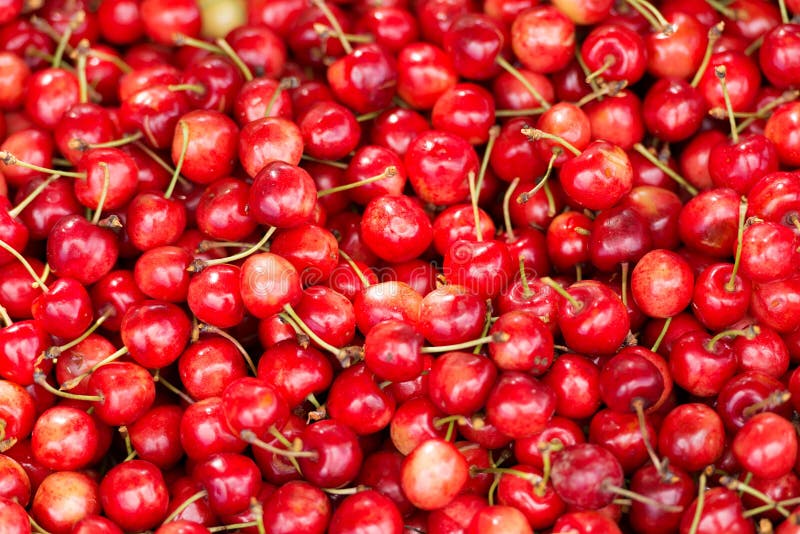 Cherrie fruit stock image. Image of cake, kitchen, cuisine - 90898925