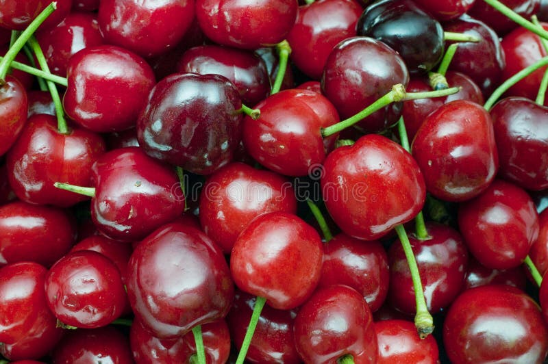 Red cherries stock photo. Image of closeup, delicious - 14325480