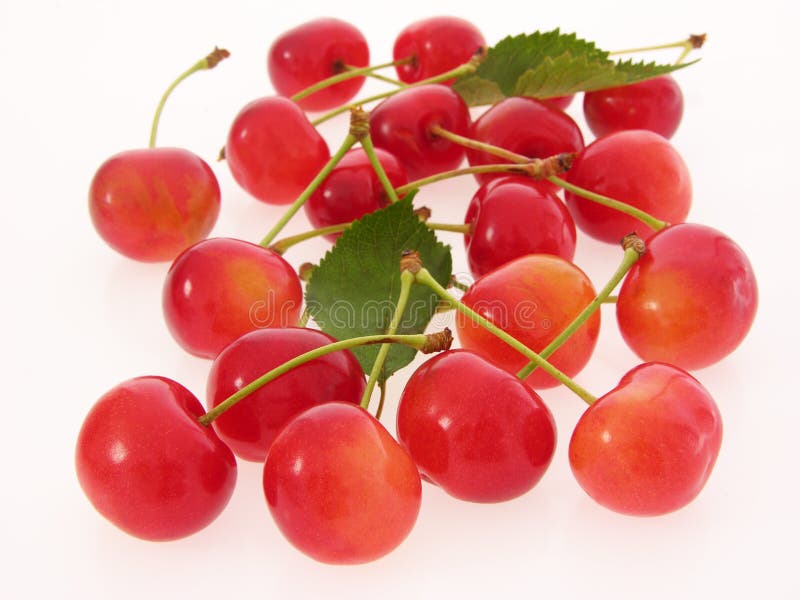 Red cherries stock image. Image of fruit, stalks, leaves - 20267115