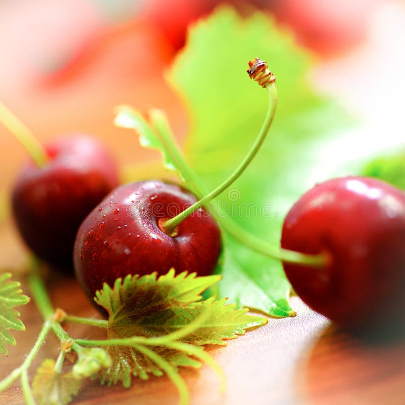 Red cherries stock image. Image of nutrition, harvest - 25183487