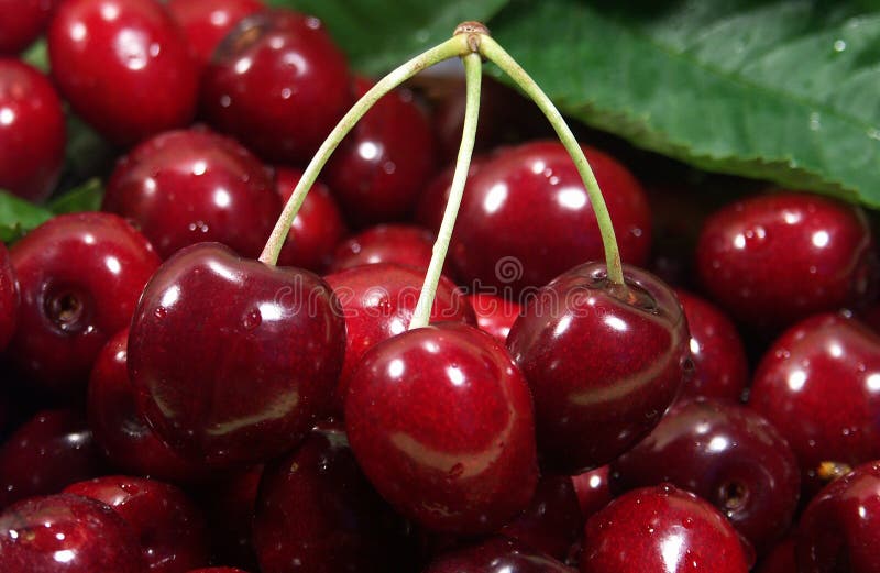 Red cherries stock photo. Image of fruit, edible, vitamins - 958460