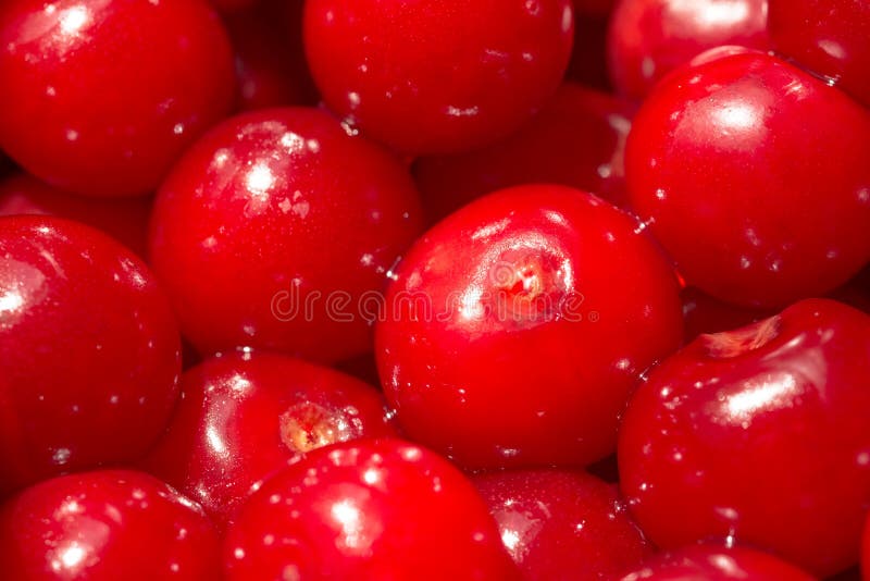 Red Cherries Close Up in Fruit Market Stock Photo - Image of ripe ...