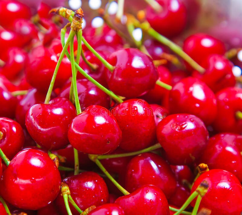 A Closeup Of Red Juicy Cherries Stock Photo - Image of berry, macro ...