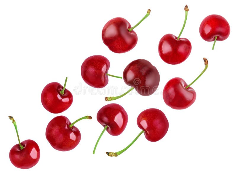Red Cherries Explosion Isolated on White. Flying Sweet Cherry Berries ...
