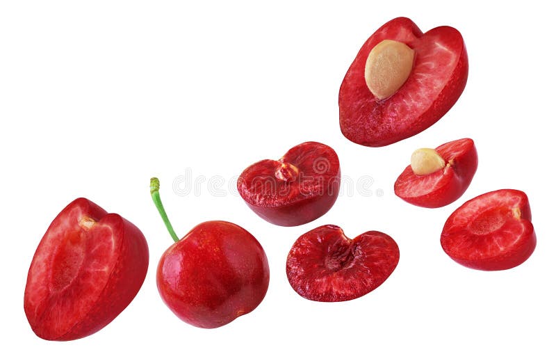 Red Cherries Explosion Isolated on White. Flying Sweet Cherry Berries ...