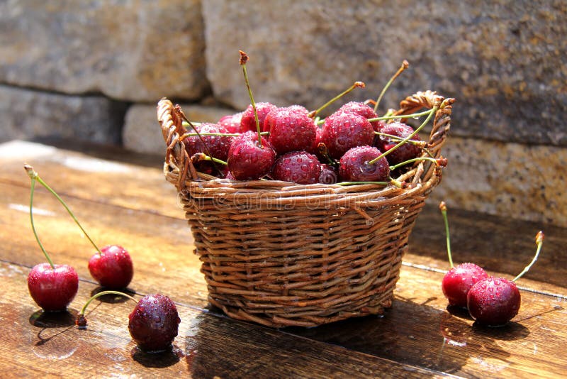 Red cherries stock photo. Image of basket, harvest, gourmet - 32599988