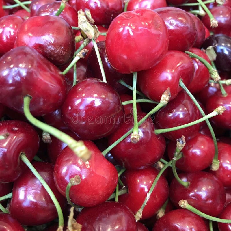 Red Cherries I Wanted To Eat for Long Stock Image - Image of delicious ...