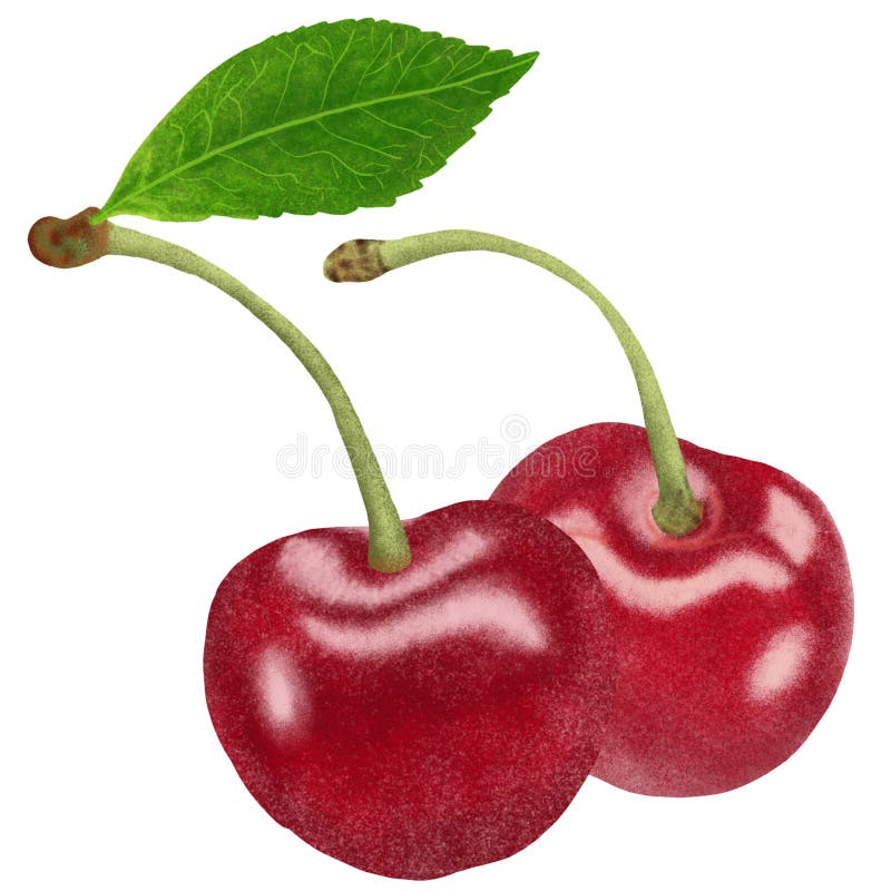 Stye Illustration Stock Illustrations – 675 Stye Illustration Stock ...