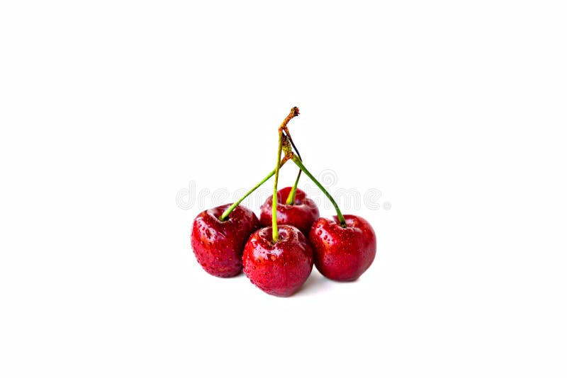 Red Cherries Isolated on a White Background Stock Image - Image of ...
