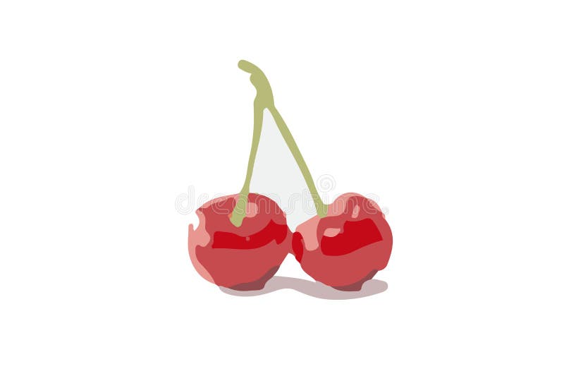 Red cherries vector image stock vector. Illustration of cherries ...