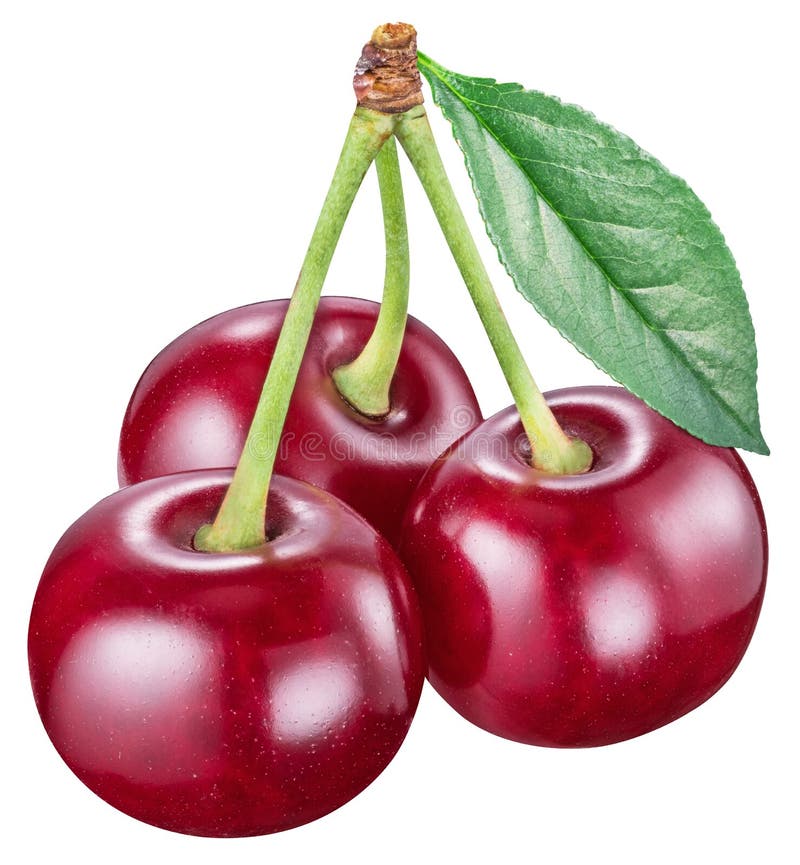 Red Cherries on White Background. Stock Image - Image of healthy, food ...