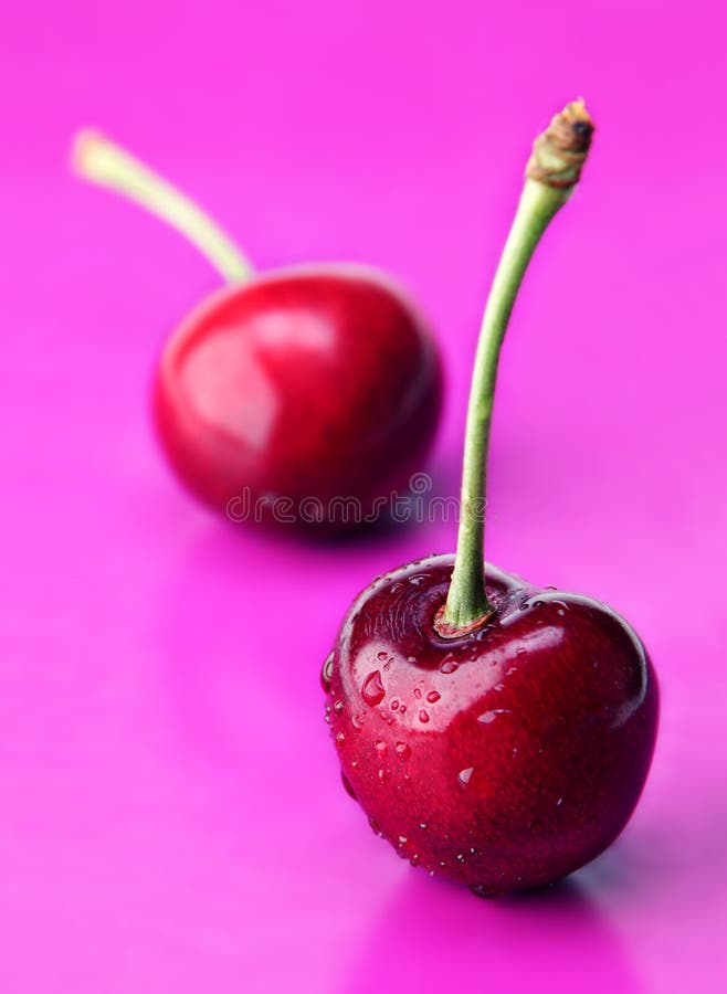 Red cherry stock image. Image of juicy, purple, freshness - 11694857