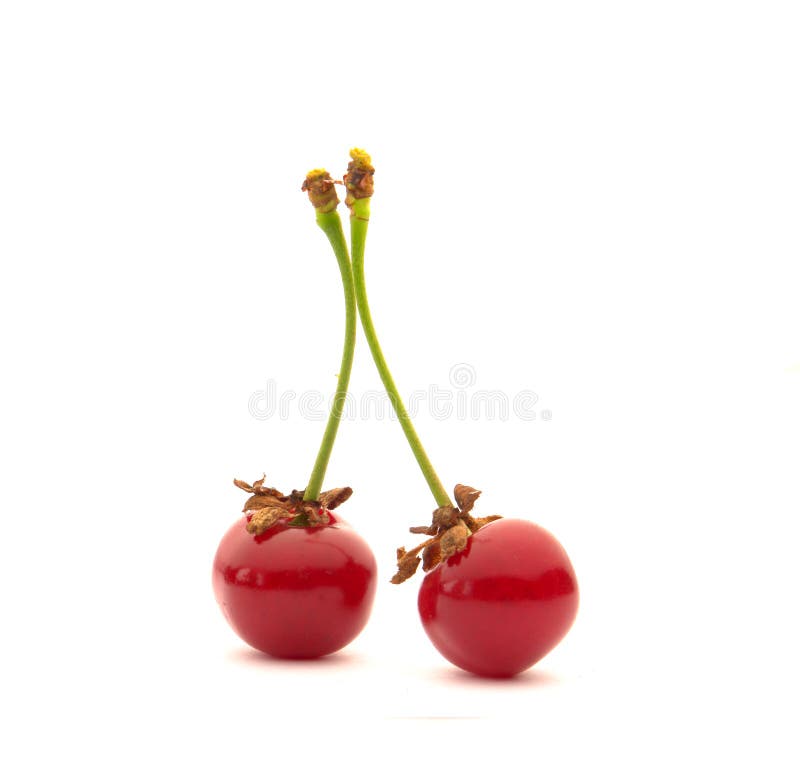 Red cherry stock photo. Image of object, three, spring - 14864238